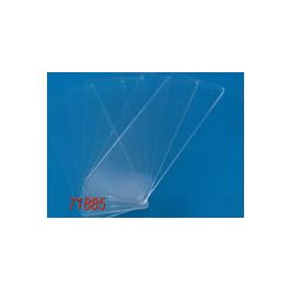 71889, POLYSTYRENE MICROSCOPE SLIDE, 100/PK